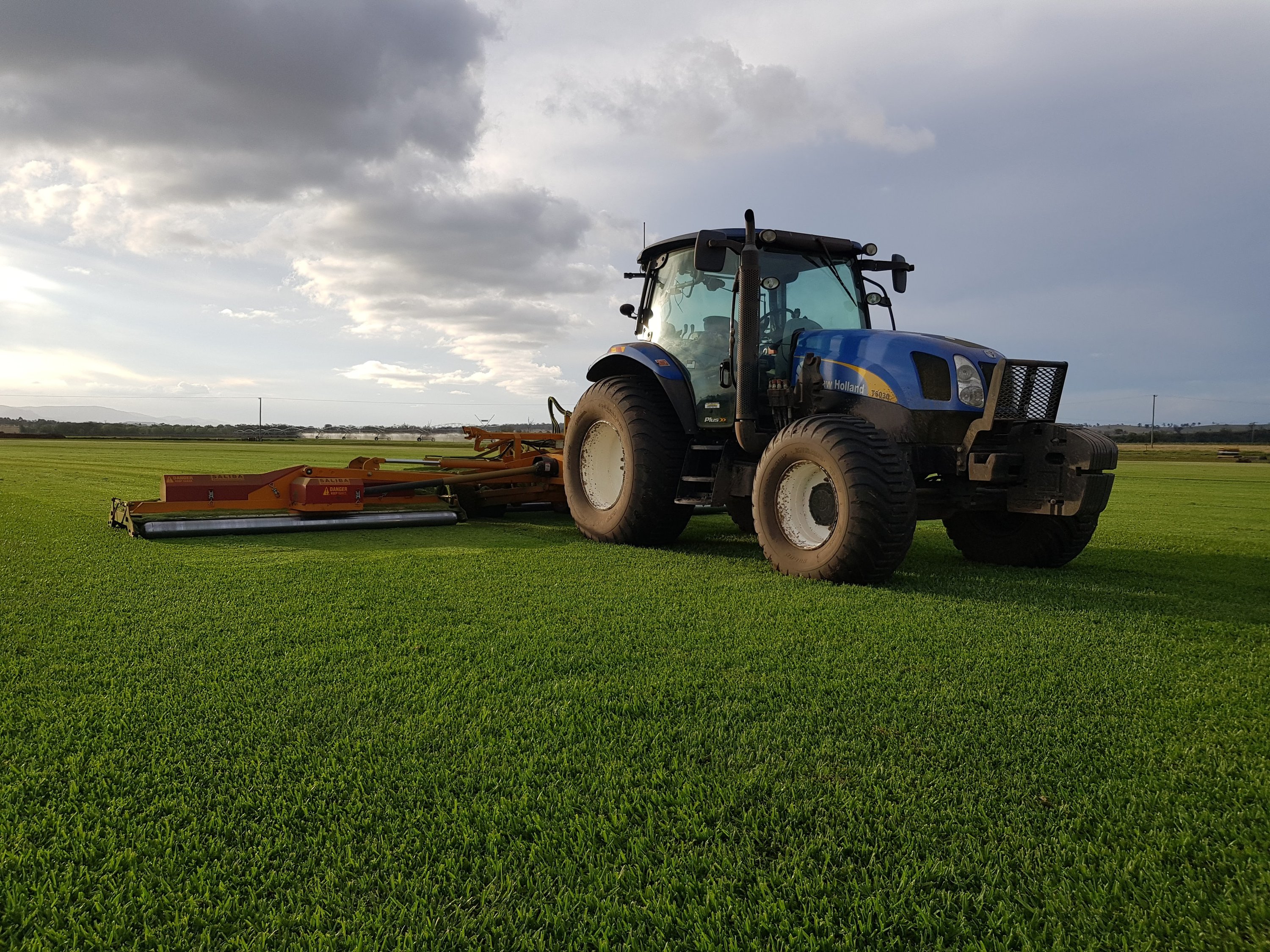 Green Life Turf, Sydney Trusted Turf Supplier, Quality Turf Solutions.