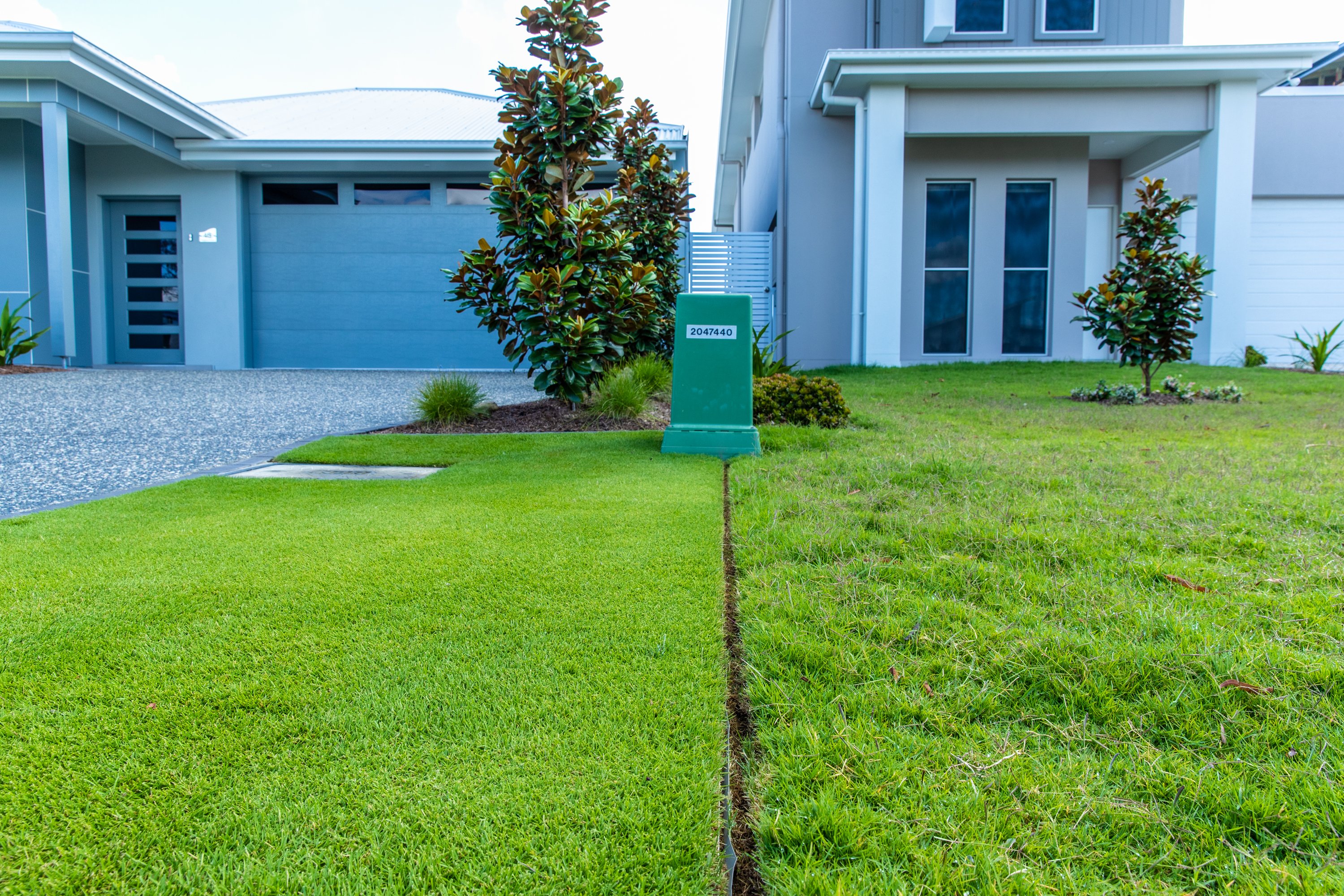 What is the best lawn for your Ryde property? Green Life Turf