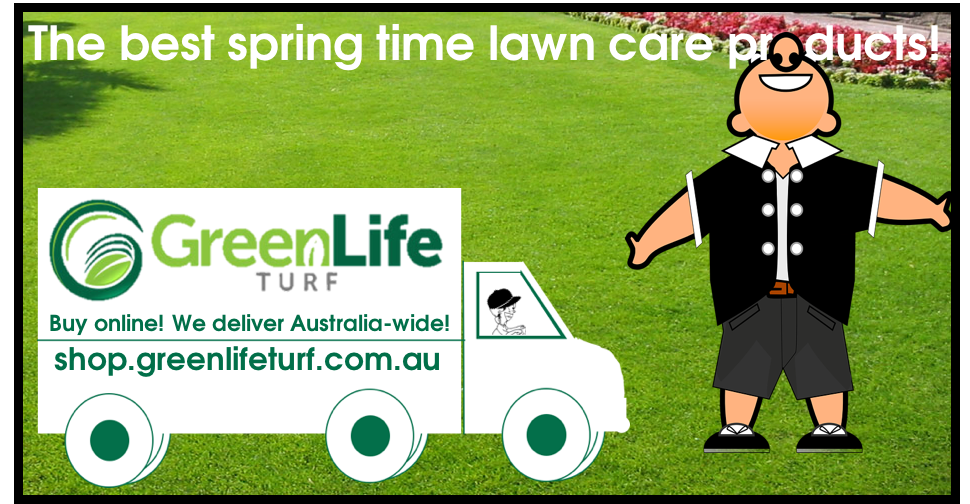 Top 5 Spring Time Lawn Care Products