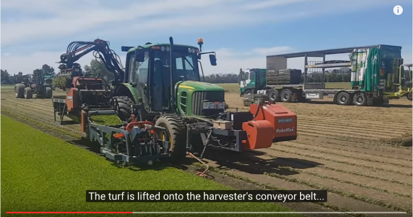 How Turf is Harvested Ready for Your Instant New Lawn