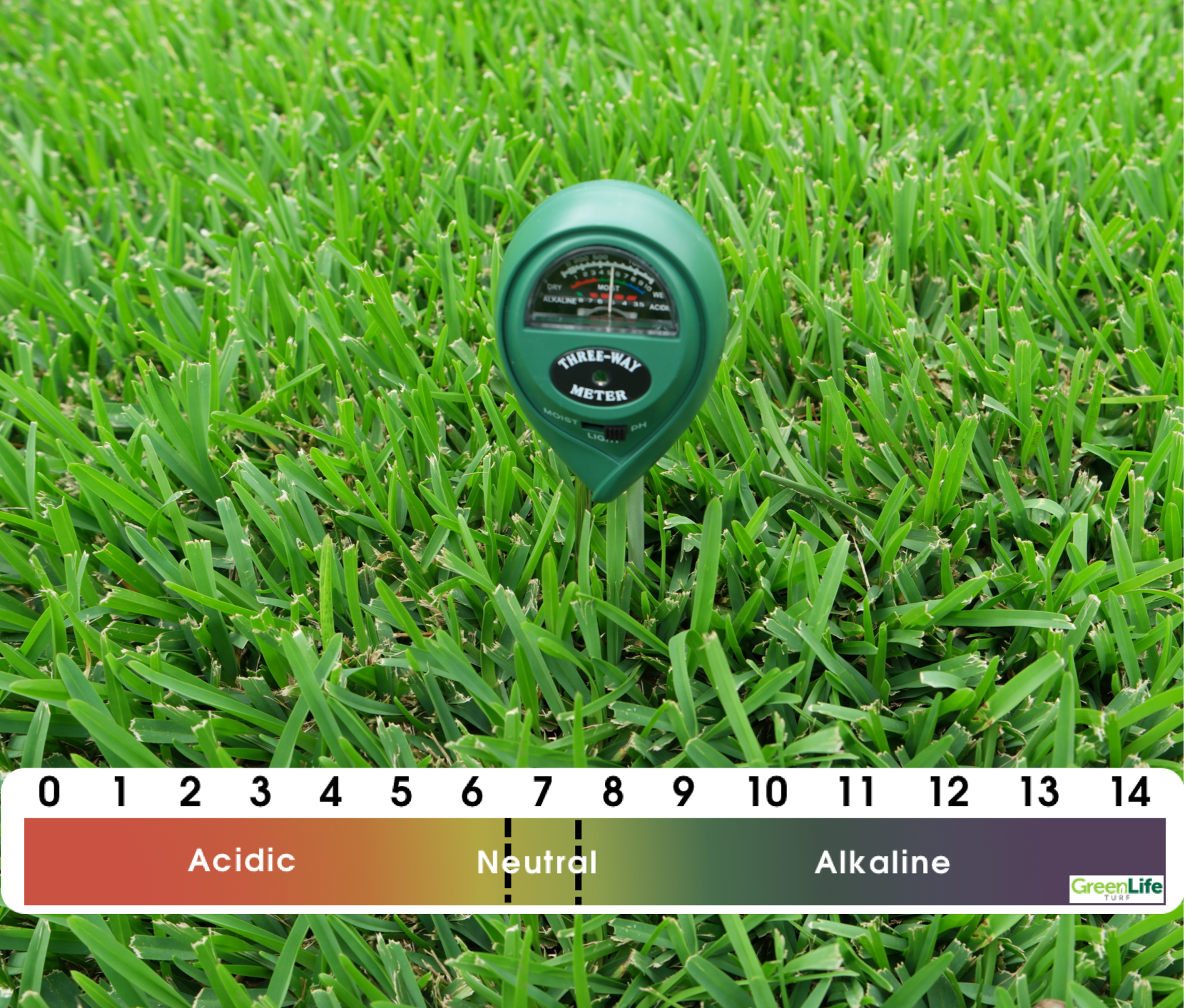 What is pH in Soil? What Does it Do? How Should I Perfect It?