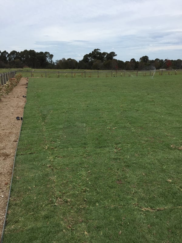 The Best Time to Re-turf Busy Sports Fields & School Ovals