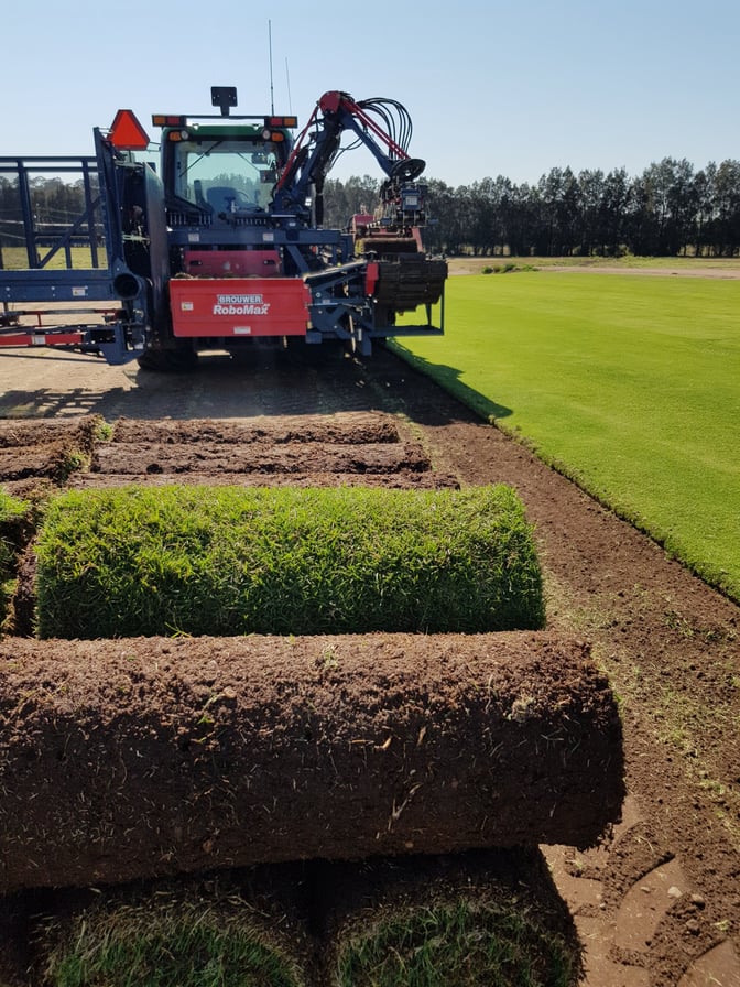 10 Tips to Choosing the Right Turf Supplier