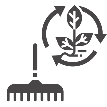 Green Life Turf | Wear Tolerant | Drought Tolerant | TifTuf Bermuda