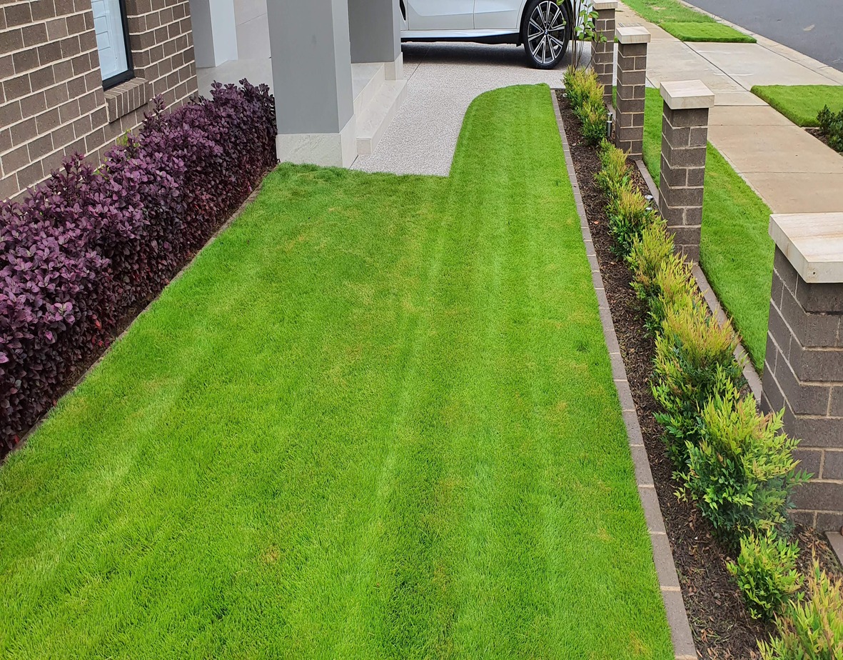 Home page [www.greenlifeturf.com.au]