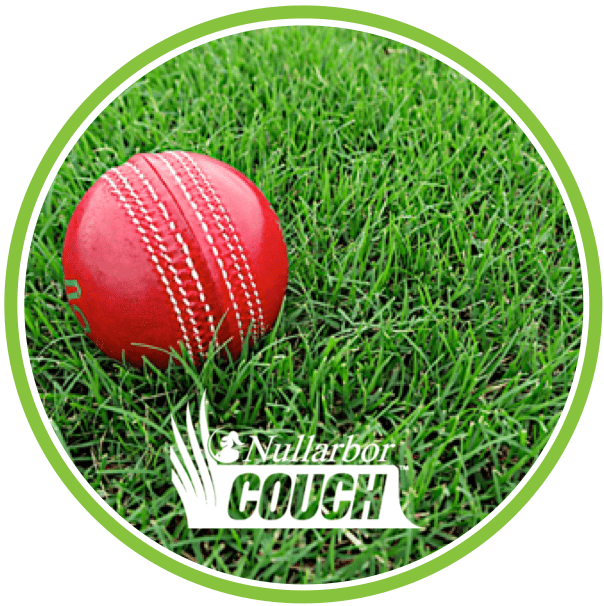 Turf Varieties | Green Life Turf | Australia's Best Turf