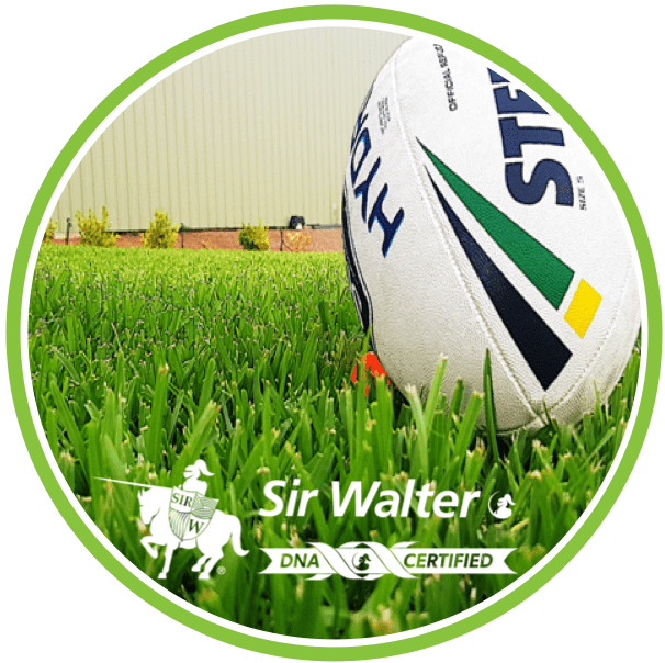 Turf Varieties | Green Life Turf | Australia's Best Turf