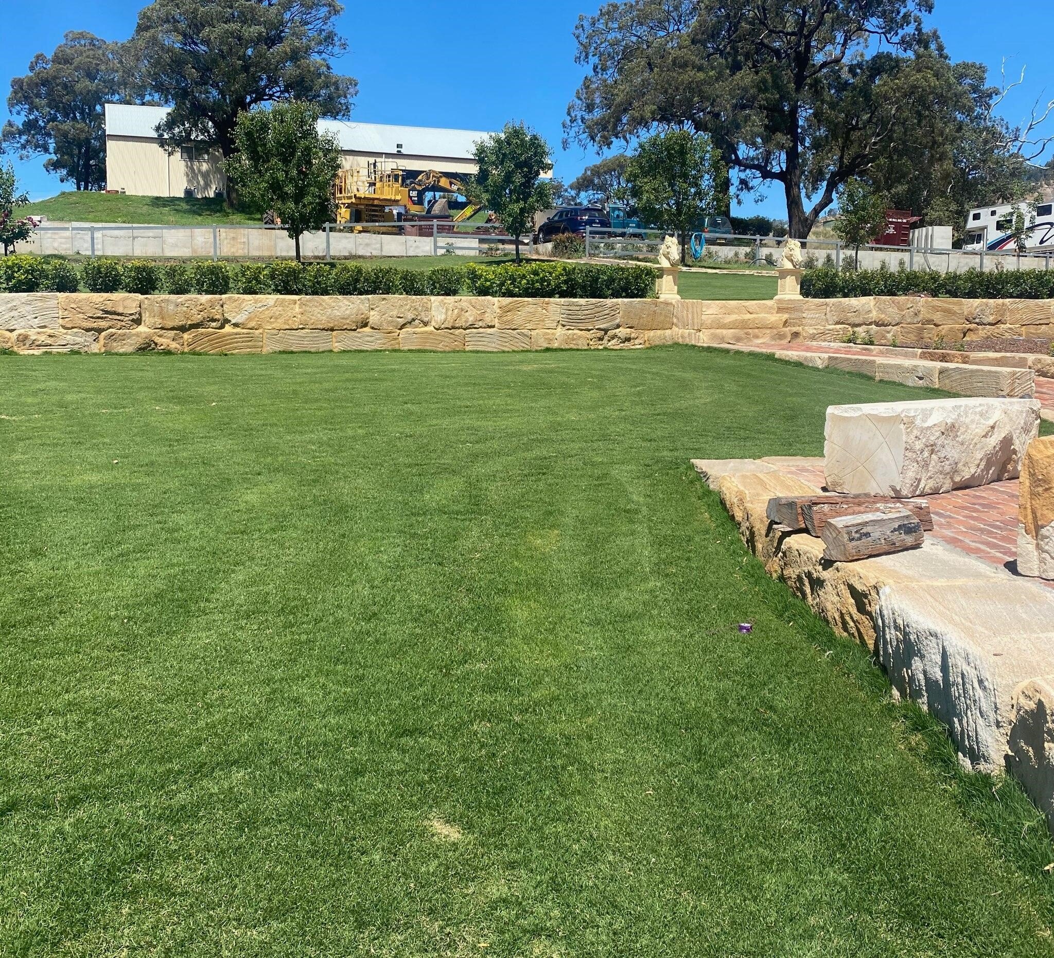 Green Life Turf | Wear Tolerant | Drought Tolerant | TifTuf Bermuda